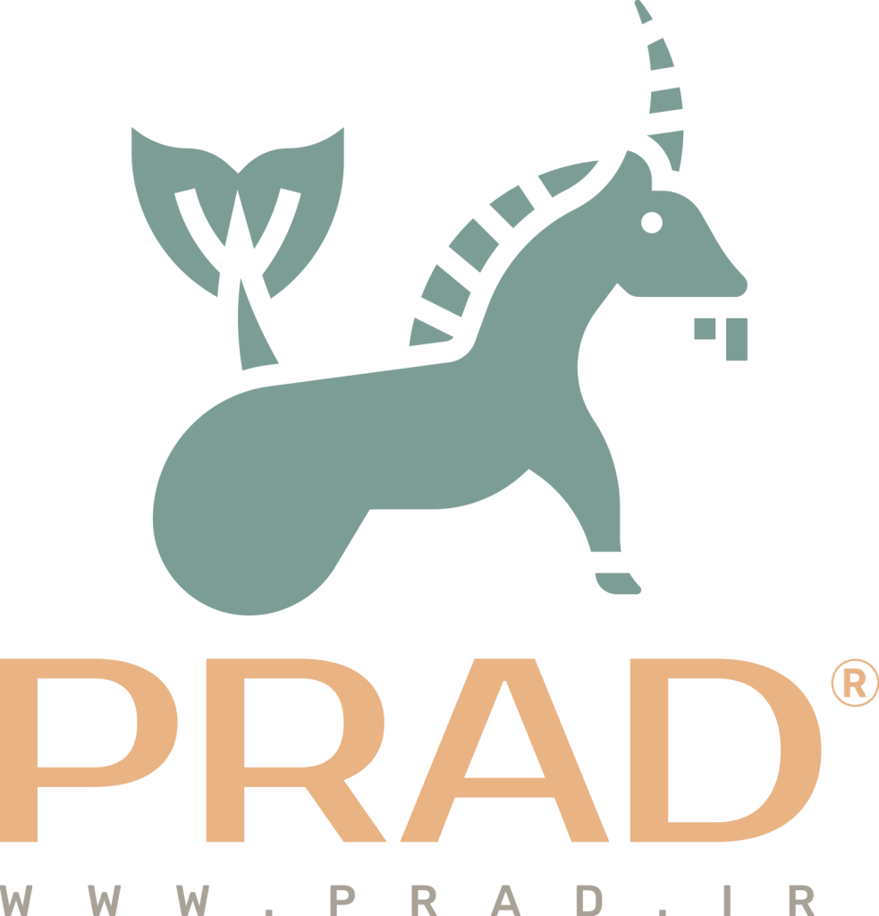 فروش دامنه برند پراد